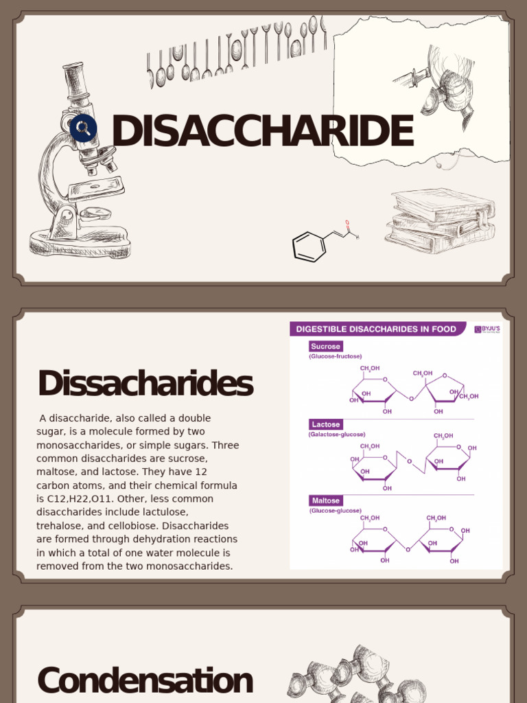 Understanding Disaccharides and Polysaccharides | PDF | Polysaccharide ...
