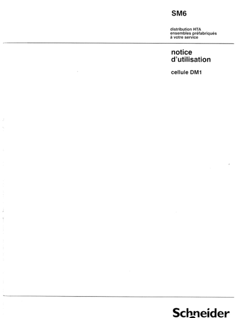 Sm6 Dm1 Notice Utilisation1 | PDF
