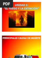 Métodos de Propagación del Fuego | PDF | Convección | Transferencia de ...
