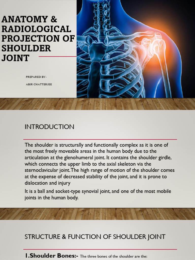 Anatomy Radiological Projections of Shoulder Joint 1741262726 | PDF ...