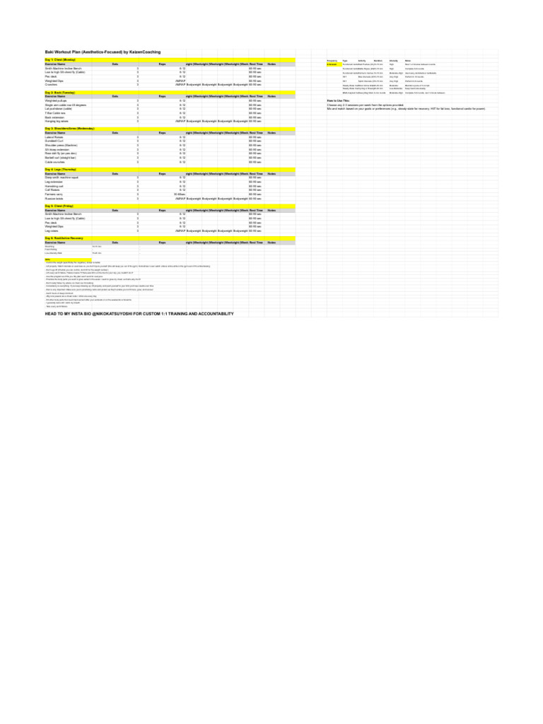 Baki Aesthetic Workout Plan Overview | PDF | High Intensity Interval ...
