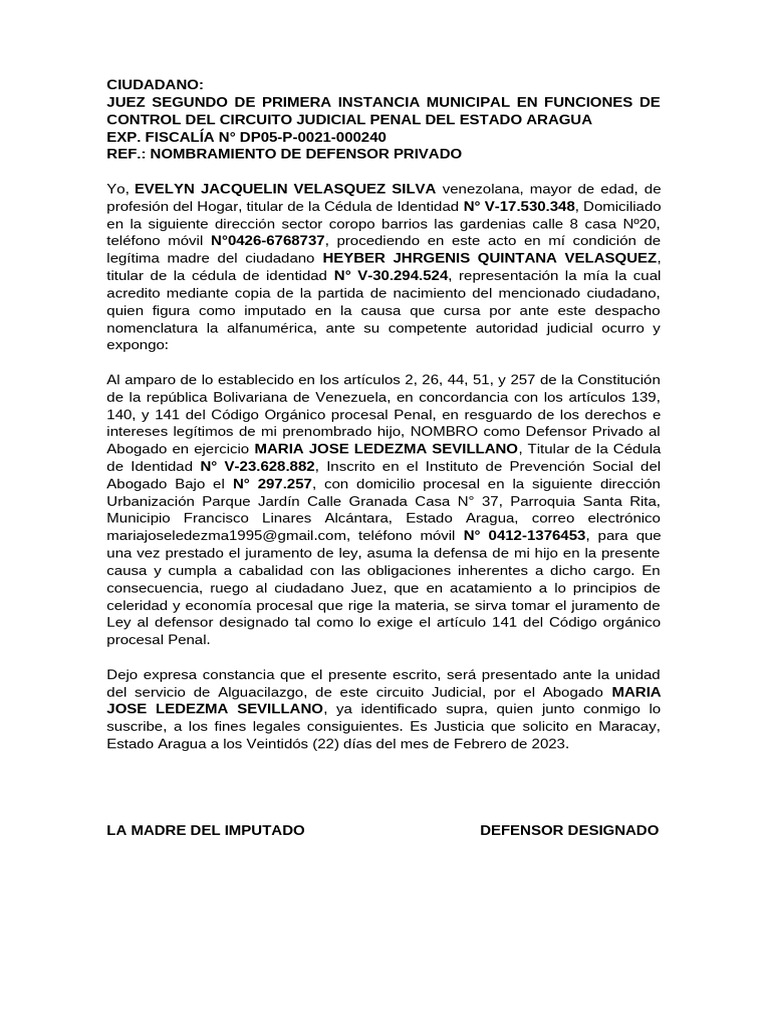 Defensor Privado | PDF | Abogado | Venezuela