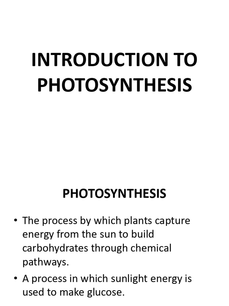 Introduction To Photosynthesis and Cellular Respiration | PDF ...