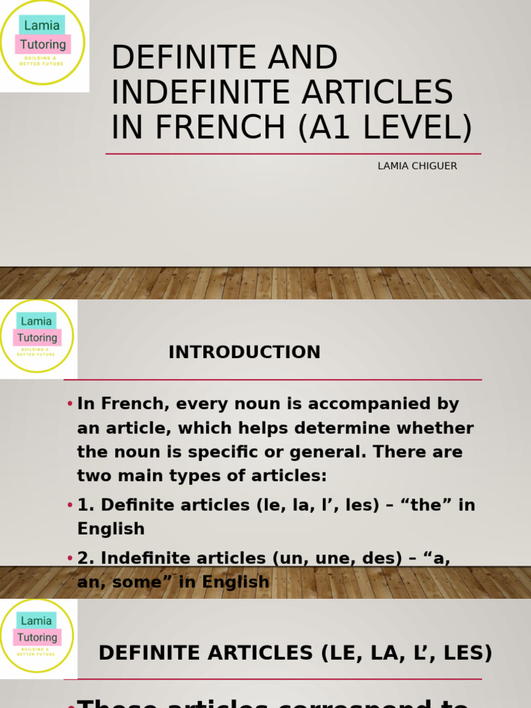 Definite and Indefinite Articles in French | PDF | Grammatical Gender ...