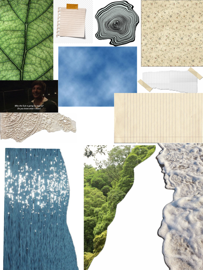 Colage 20241126 141832 0000 | PDF