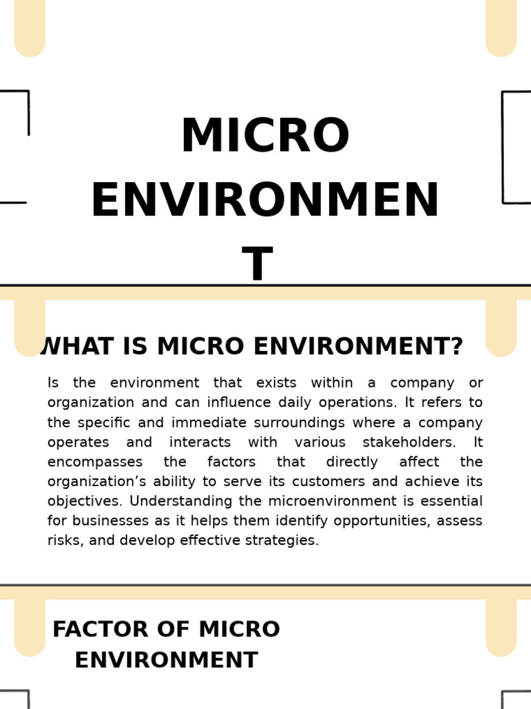 Micro vs Macro Environment Explained | PDF