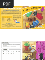 RWI Set 1 Sounds Planning | PDF