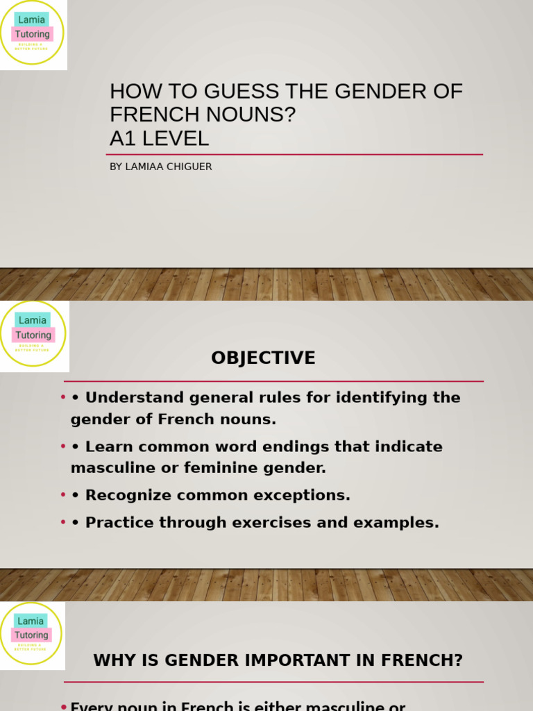 How To Guess The Gender of Nouns in French | PDF | Grammatical Gender ...