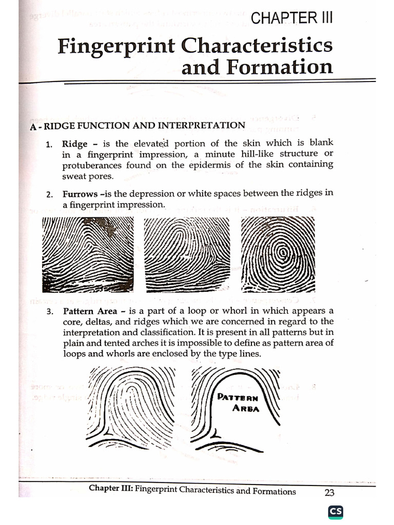 Chapter 3 Fingerprint Characteristics and Formation | PDF