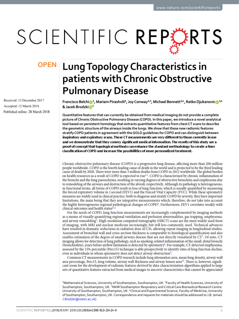 Topology in Copd | PDF | Chronic Obstructive Pulmonary Disease | Ct Scan