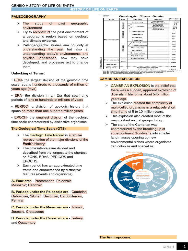 History of Life on Earth Overview | PDF | Fossil | Geologic Time Scale
