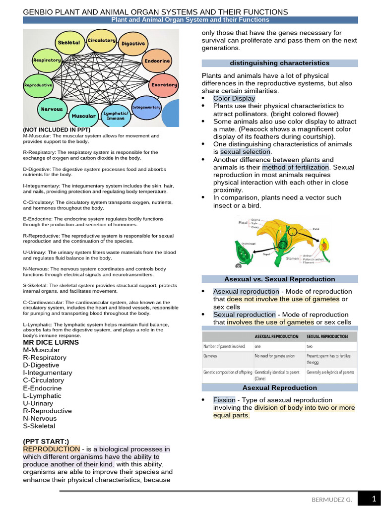 02_Plant and Animal Organ Systems and their Functions | PDF | Immune ...