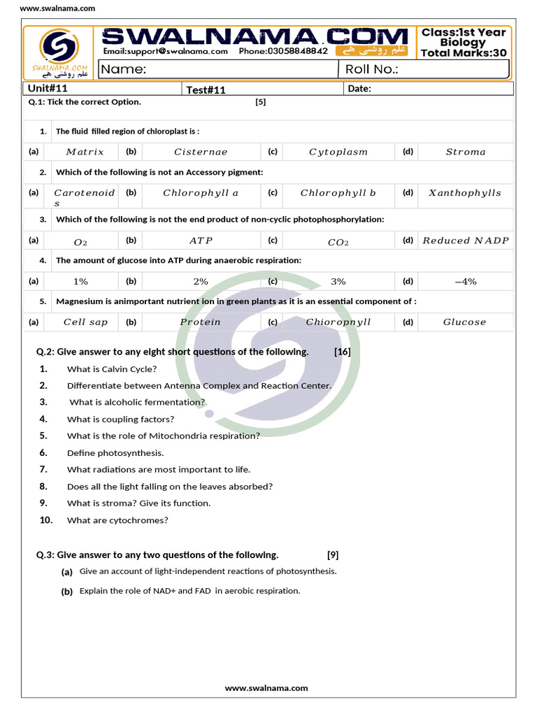 T11 Chapter Wise Test Biology Chapter 11 1st Year | PDF