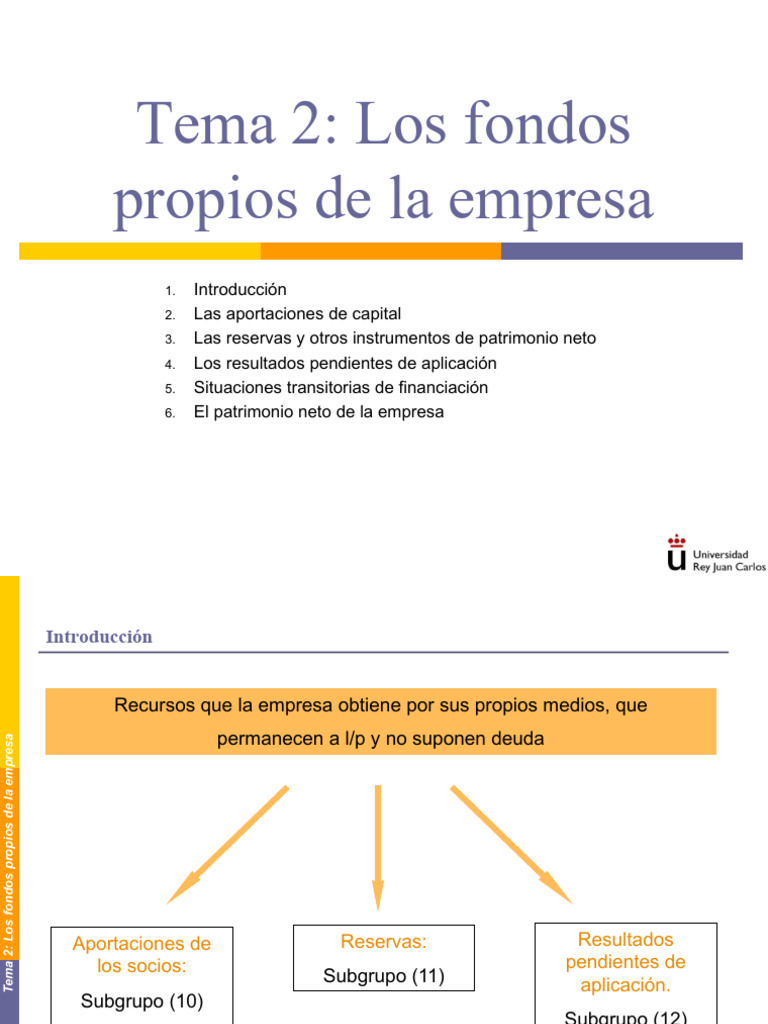 Tema 2 CS Fondos Propios | PDF | Compartir (Finanzas) | Dividendo
