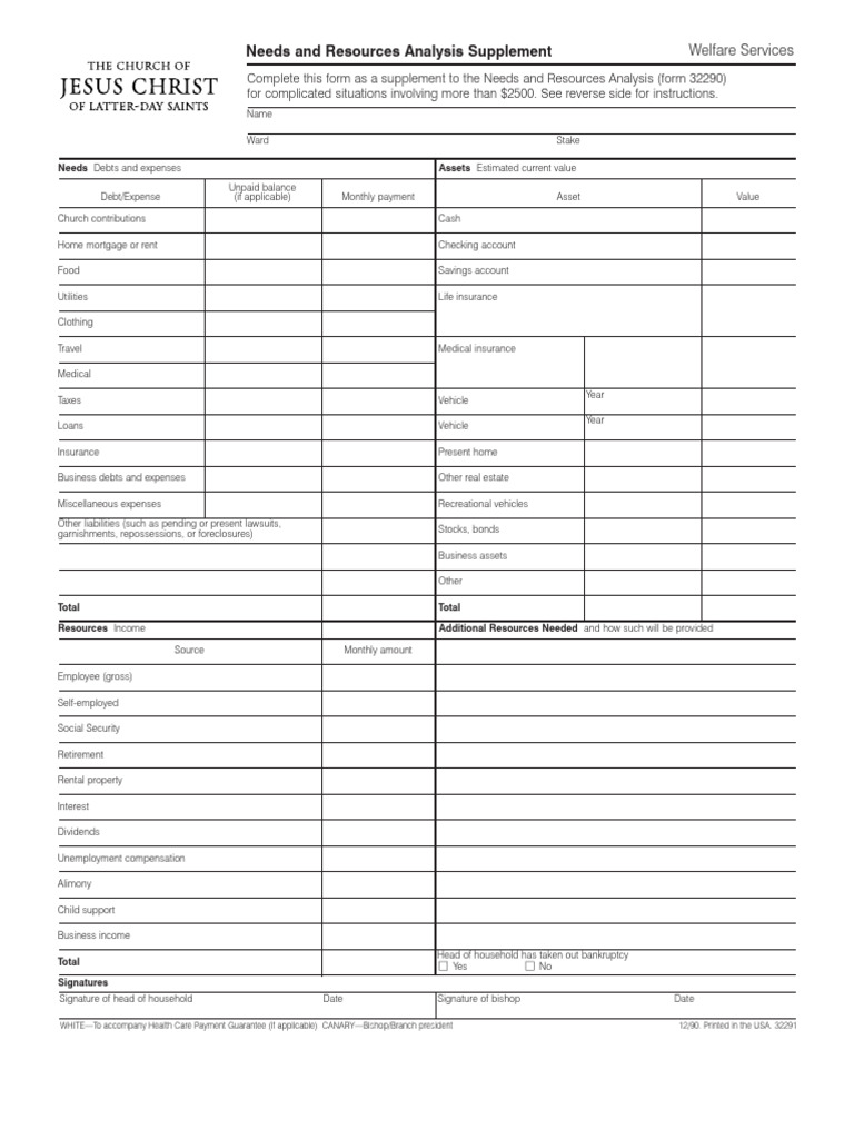 Needs and Resources Analysis Form 32291 | PDF | Debt | Expense