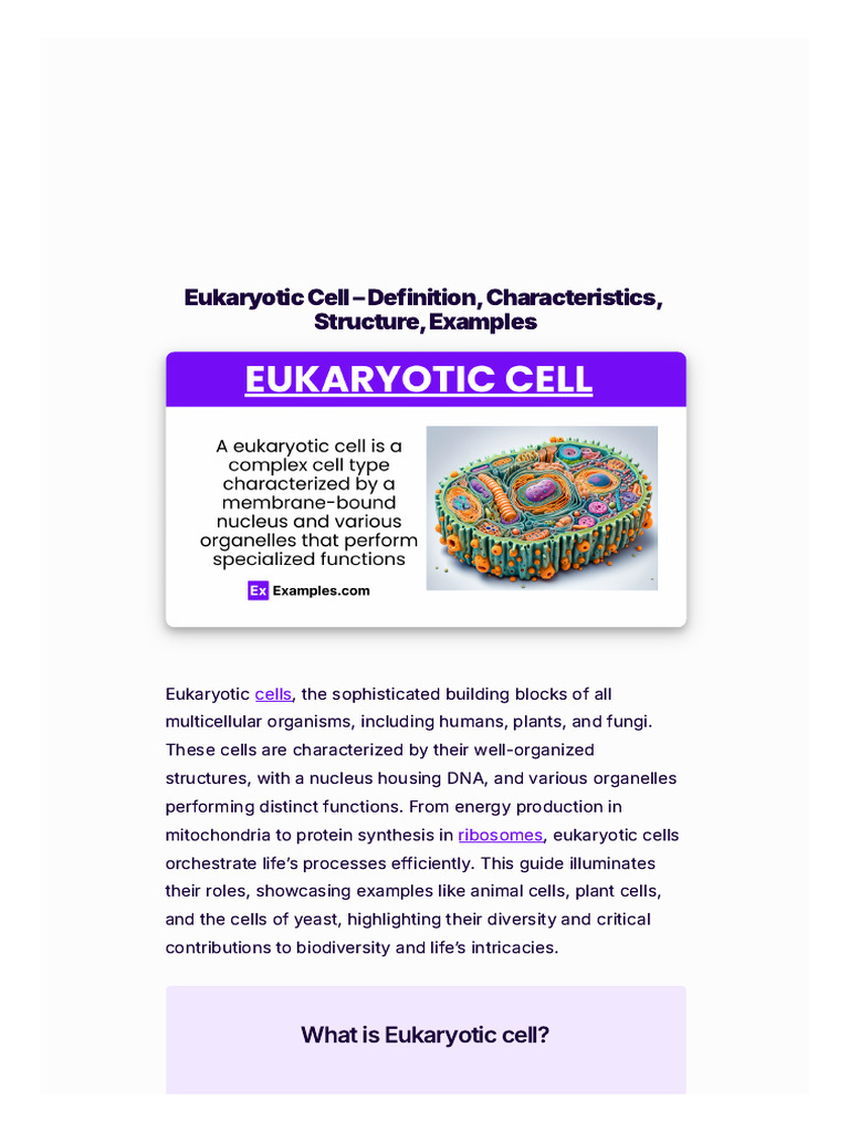 Eukaryotic Cell - Definition, Characteristics, Structure, Examples ...