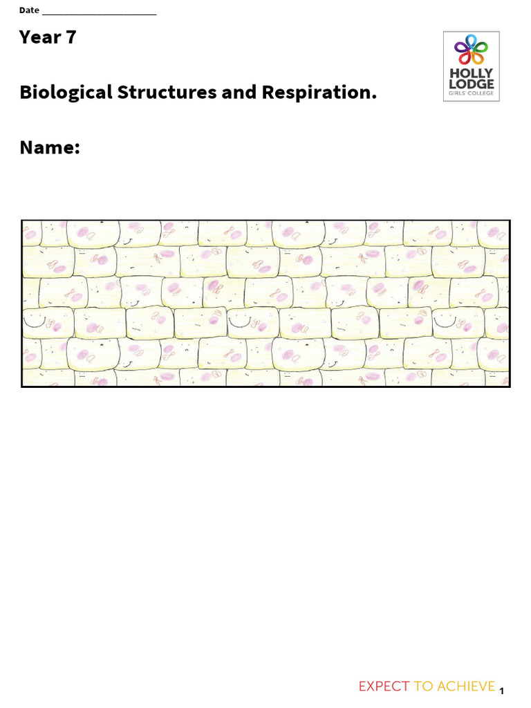 Year 7 Biology: Cells and Systems Guide | PDF | Cell (Biology ...