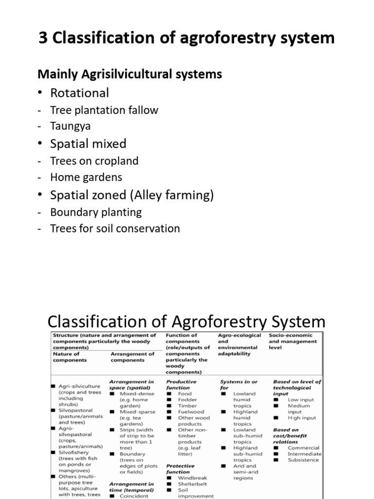 AFU MSC 3 Classification of AF System | PDF | Crop Rotation | Soil