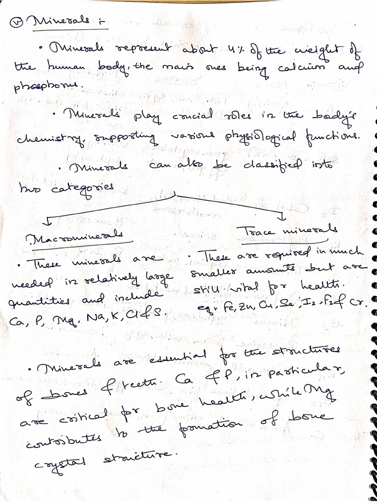 sec notes pt.3 (6.10.23) | PDF