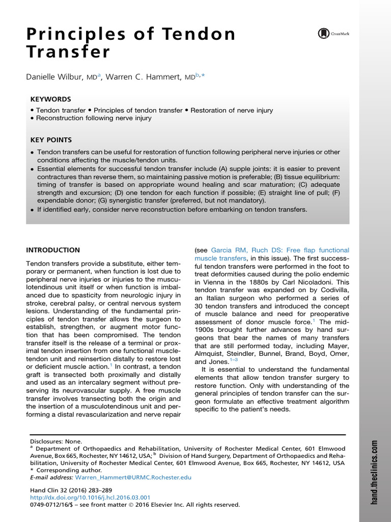 Tendon Transfer | PDF | Finger | Thumb