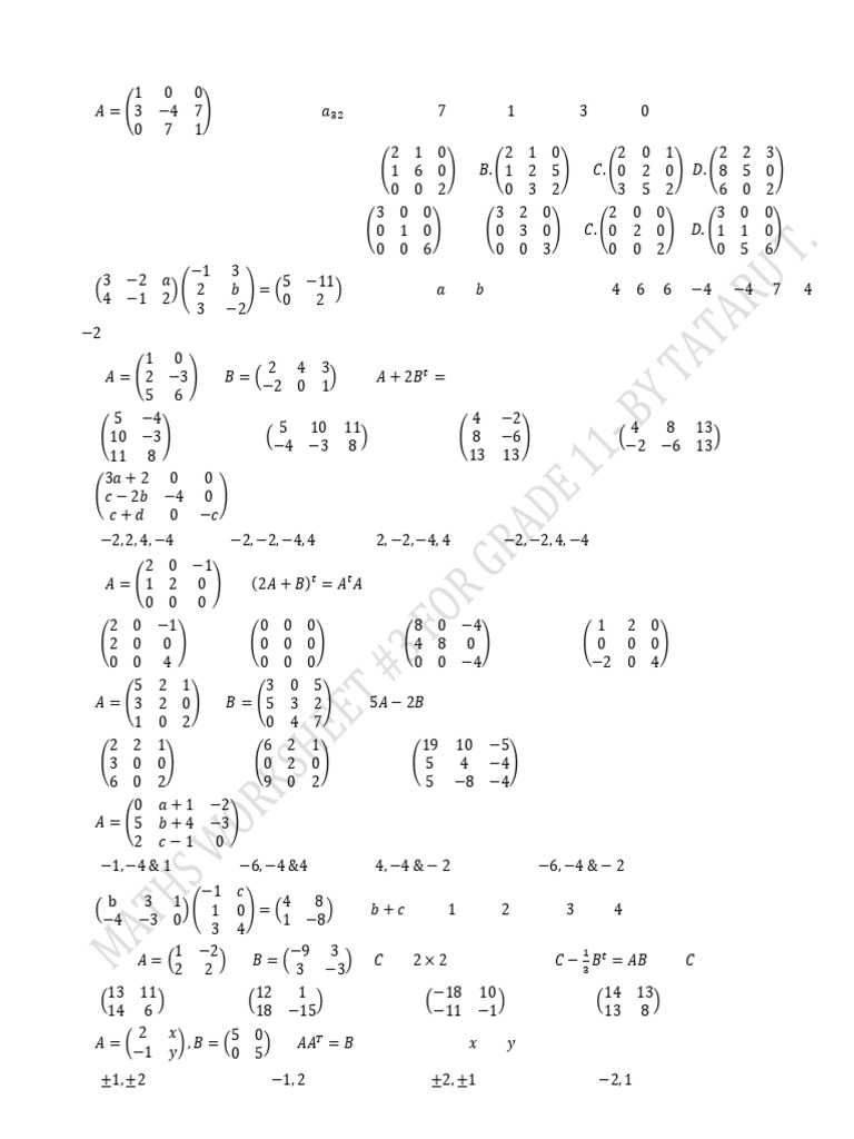 Grade 11 Matrices and Determinants Worksheet | PDF | Functional ...