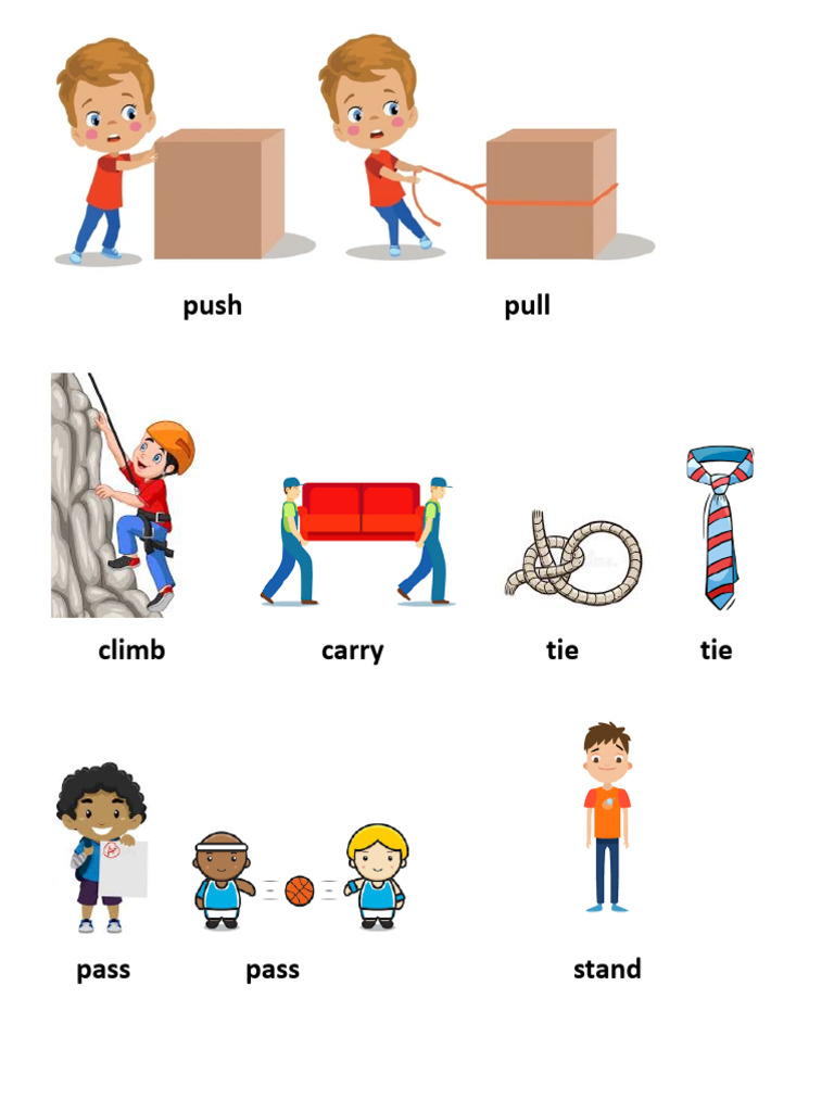 Week 3 Vocabulary Illustrations | PDF