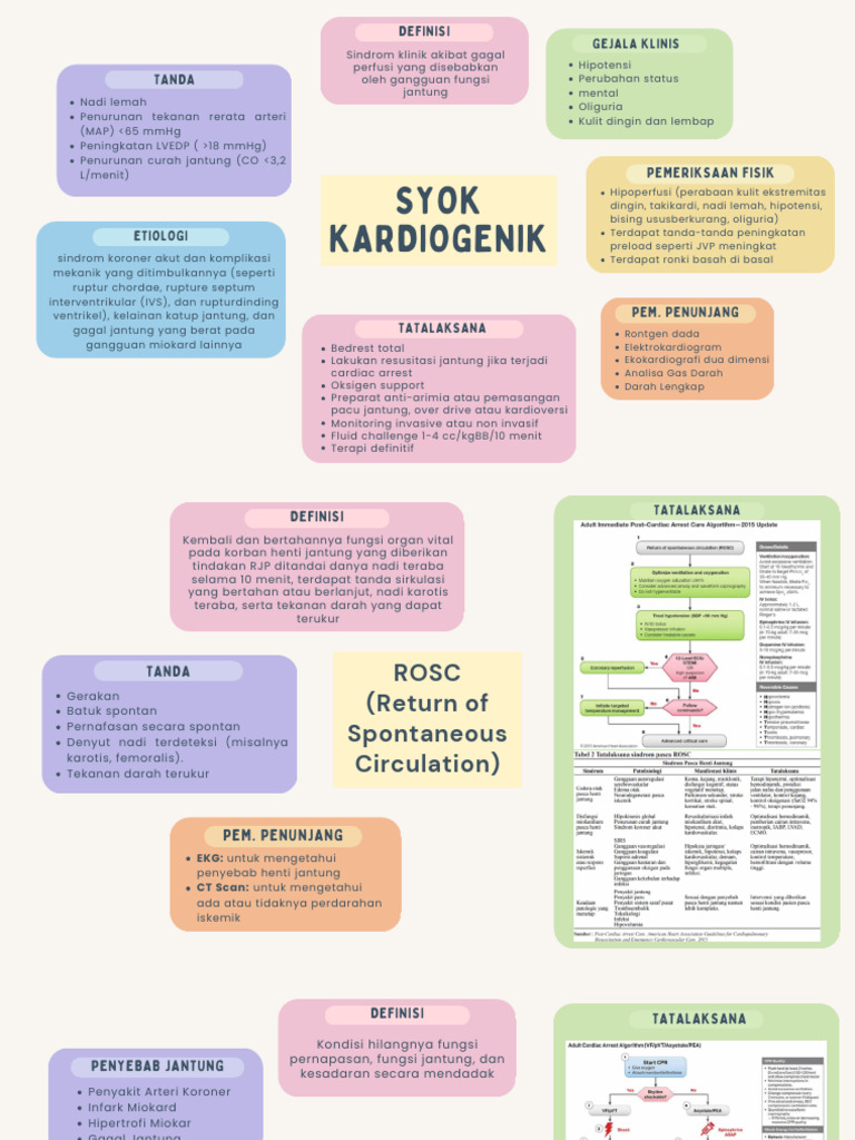 MindMap SGL Kardio | PDF