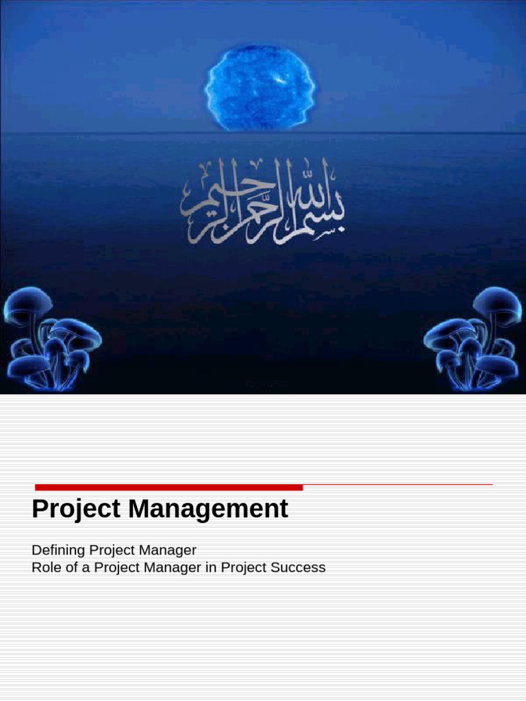 Project Management - Lecture 3 | PDF | Feasibility Study | Project ...