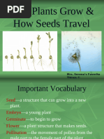 Strawberry Plant Anatomy for Kids | PDF | Fruit | Strawberry