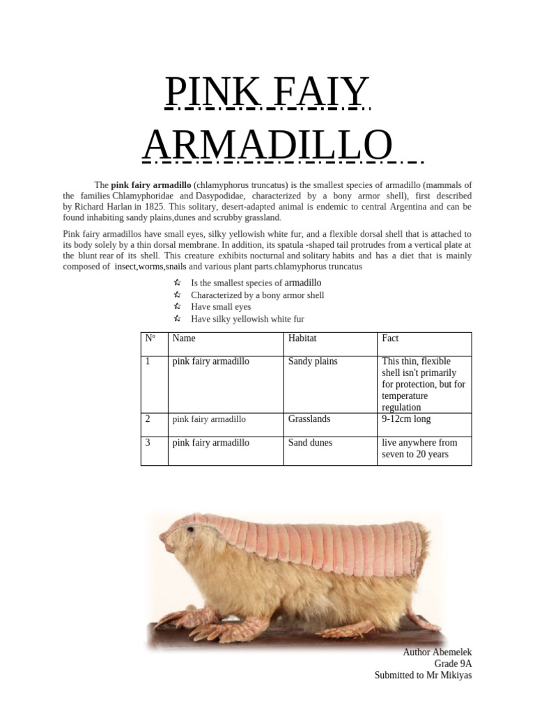 PINK FAIY ARMADILLO | PDF