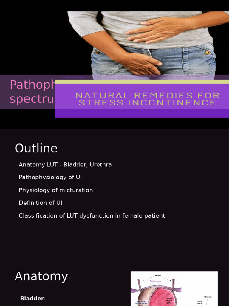 UG2 Pathophysiology of UI | PDF | Urinary Incontinence | Urination