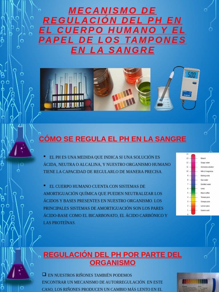 Mecanismo de Regulación Del PH en El Cuerpo | PDF