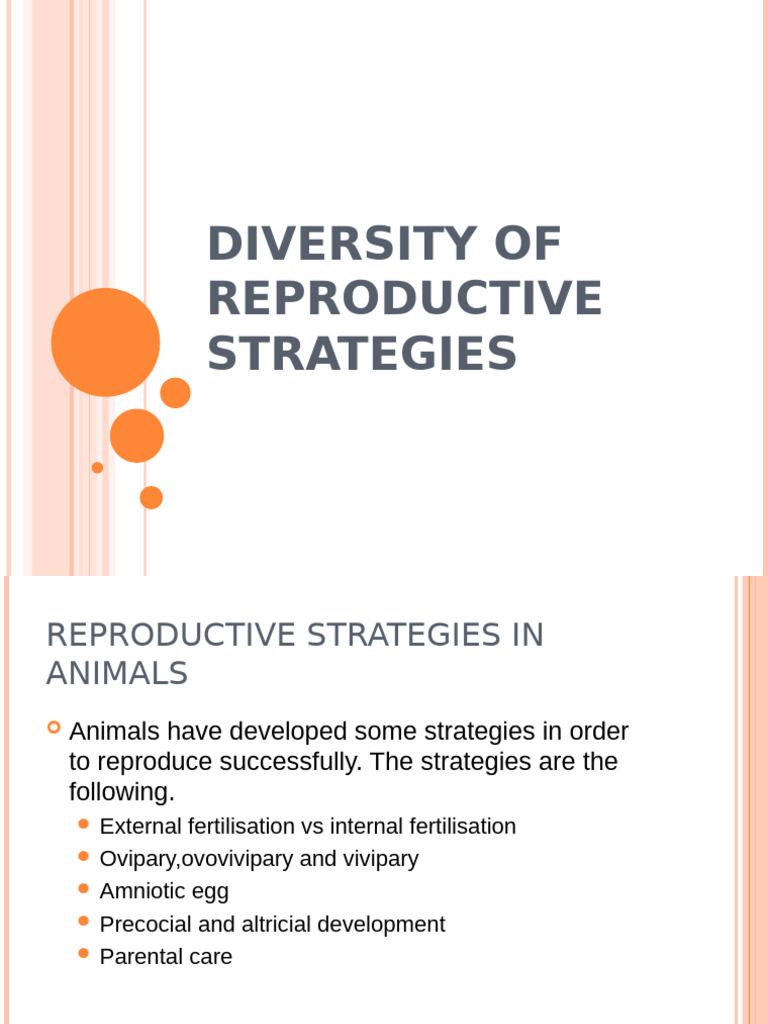 Animal Reproductive Strategies Explained | PDF | Egg | Fertilisation