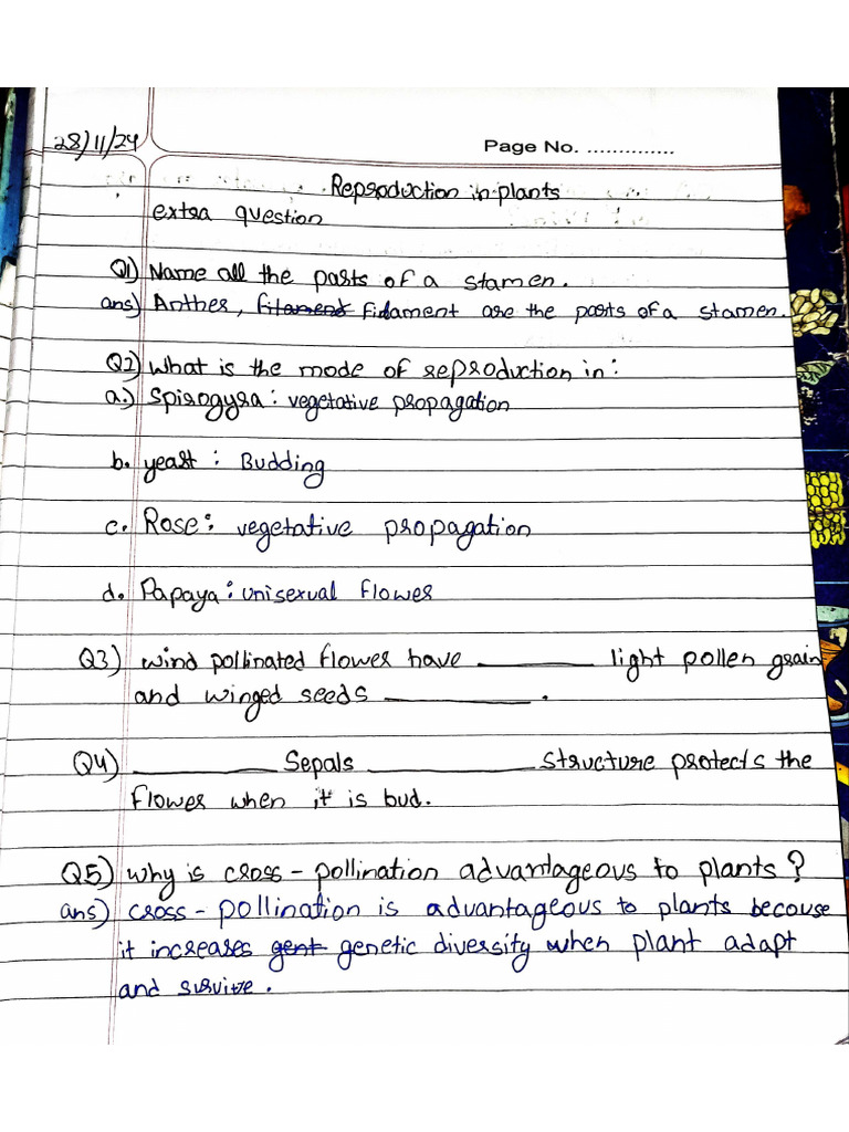 Extra Questions of ch-8 | PDF