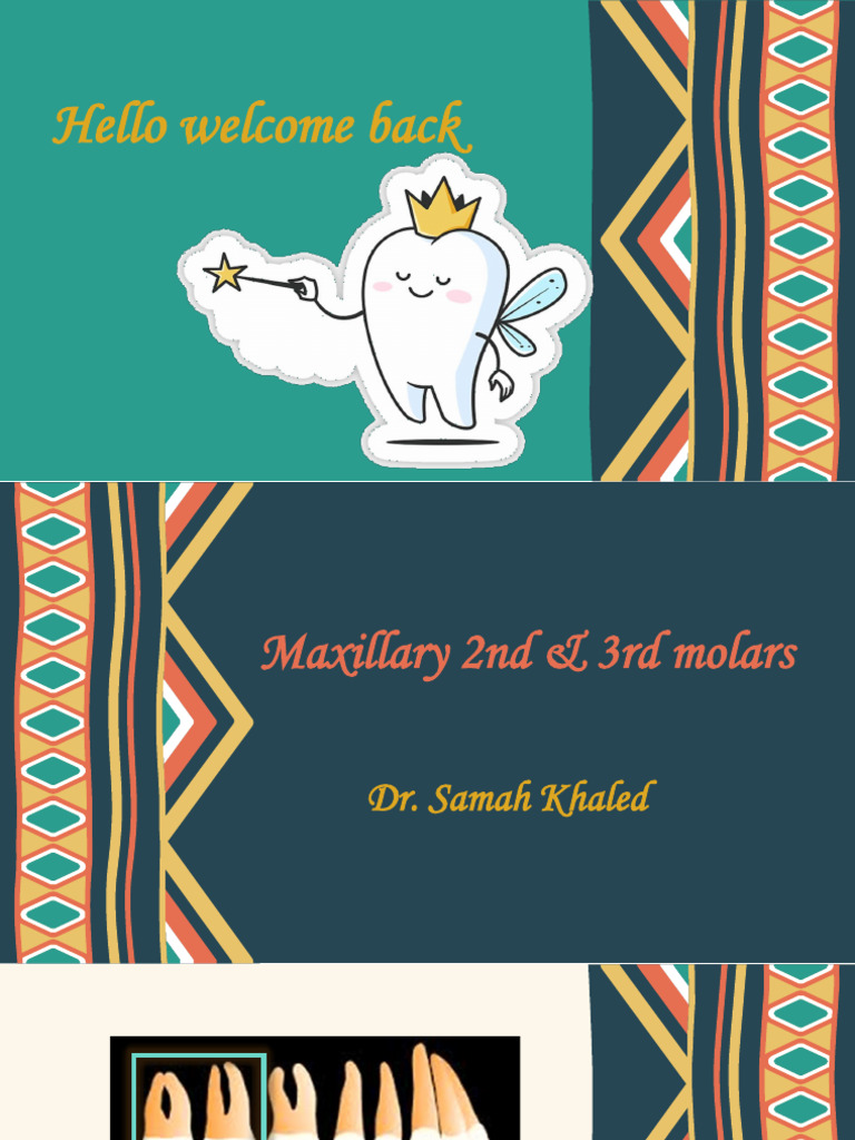 Maxillary 2nd & 3rd Molars | PDF | Dental Anatomy | Mouth