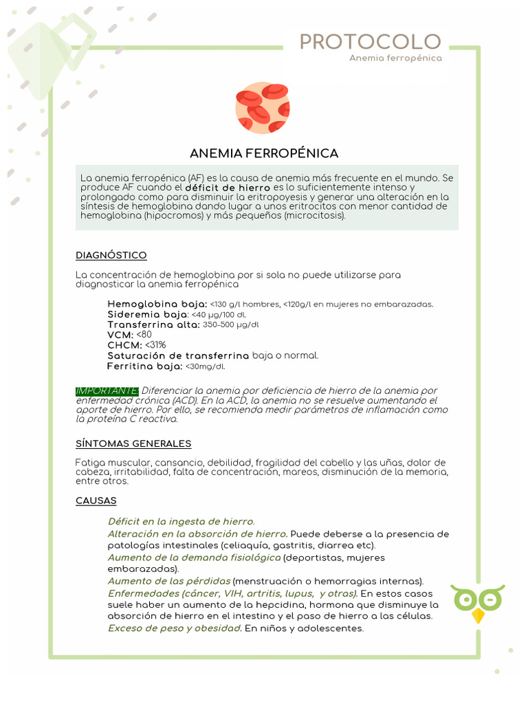 Protocolo Anemia | PDF | Anemia | Especialidades Medicas