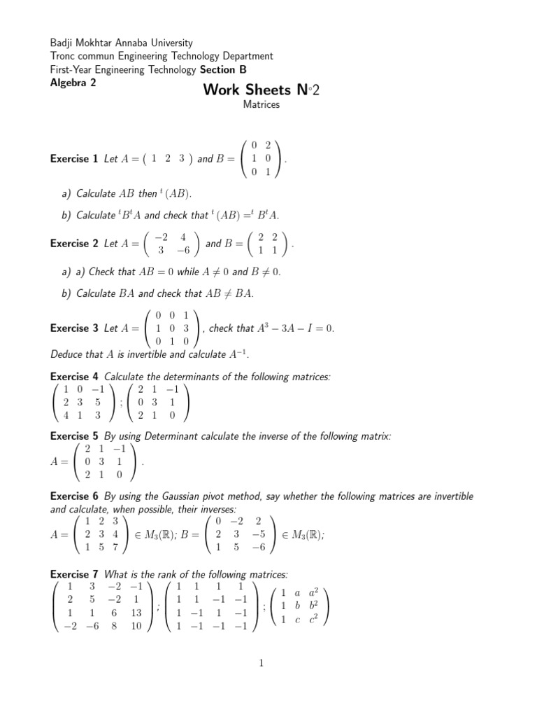 Work Sheets N°2 Algebra 2 | PDF | Determinant | Matrix (Mathematics)
