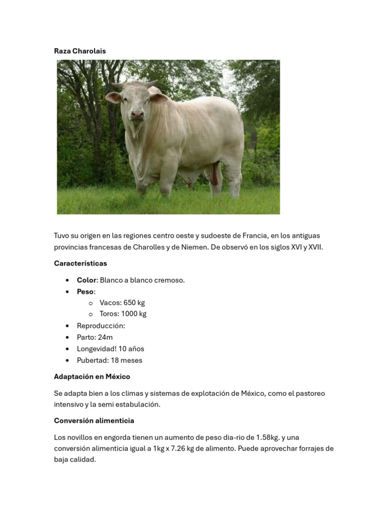 Charolais ficha técnica | PDF