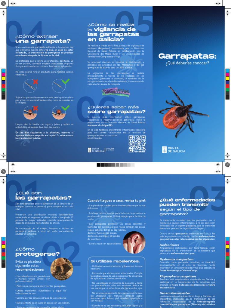 Trípticos Garrapata - ct01 - CAST | PDF | Microbiología