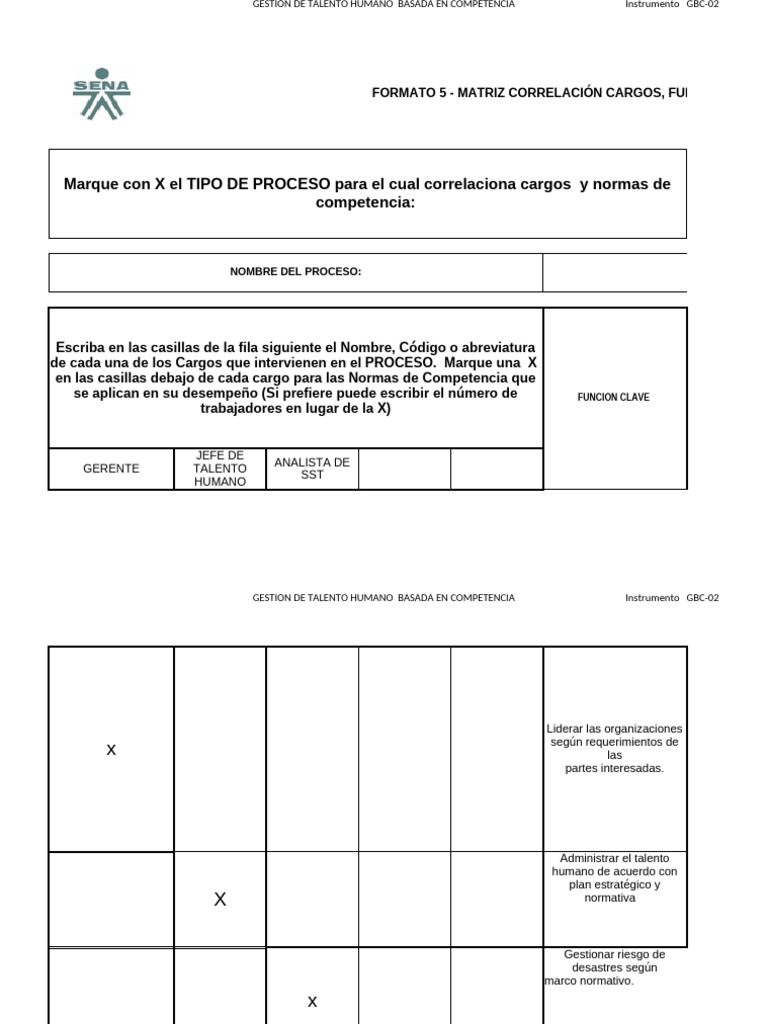 Formato 5 -MATRIZ CORRELACION CARGOS FUNCIONES Y NCL (1) | PDF | Planificación | Gestión de ...