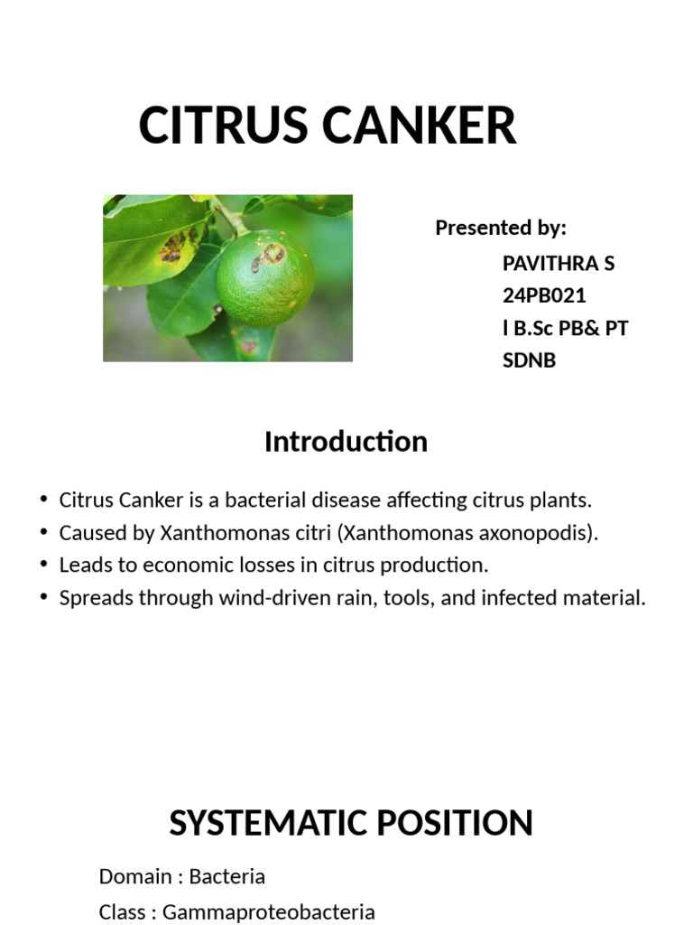 Citrus Canker: Causes and Control Measures | PDF