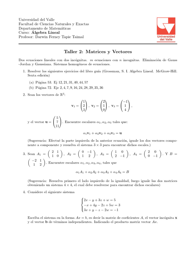 Resolución de Vectores y Sistemas Lineales | PDF | Matriz (Matemáticas ...
