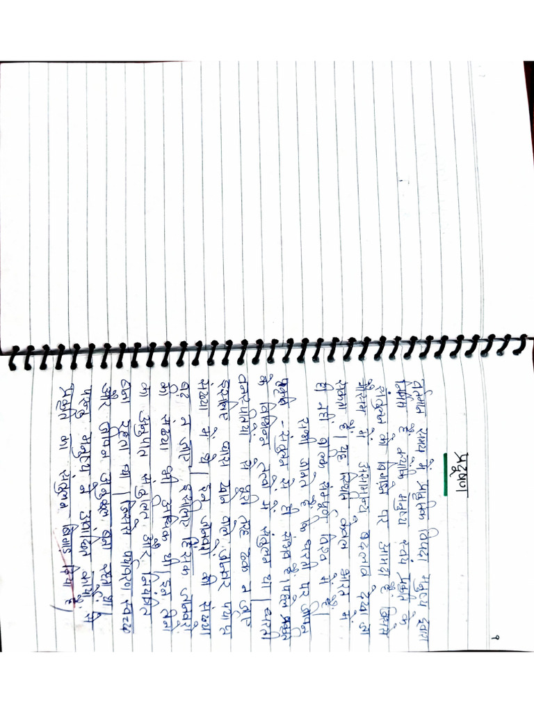Hindi Diary Writing | PDF