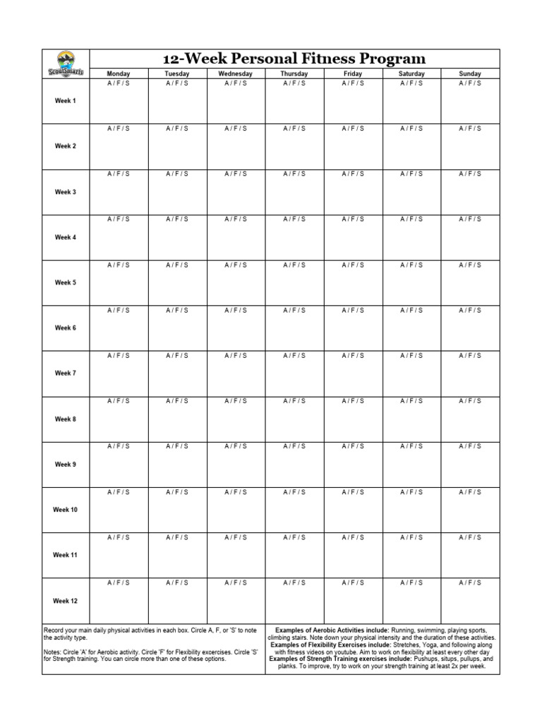 ScoutSmarts Personal Fitness 12 Week Plan | PDF | Aerobic Exercise | Flexibility (Anatomy)
