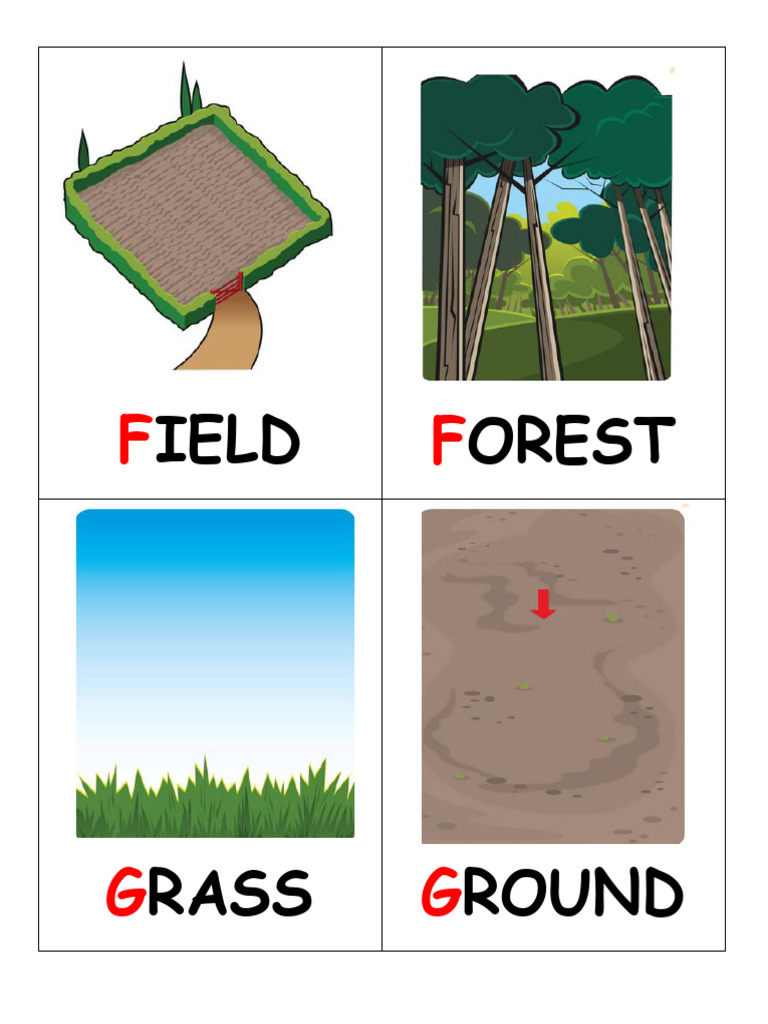 Unit 1 Vocabulary | PDF