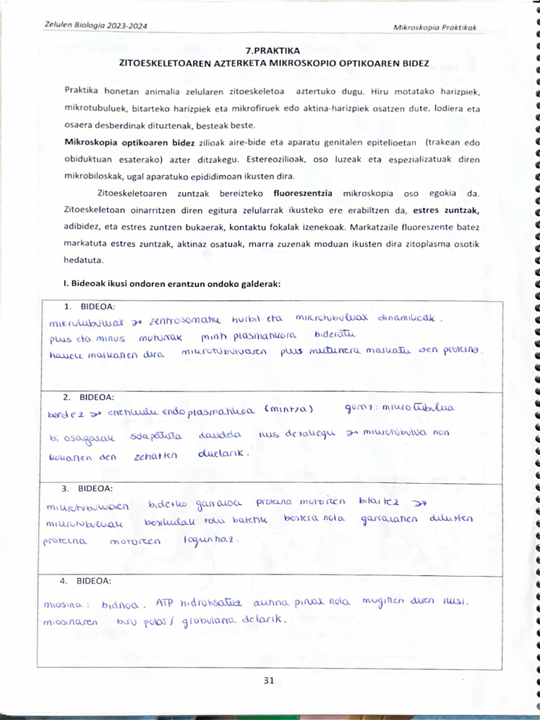 Biozel Koadernillo Dos | PDF