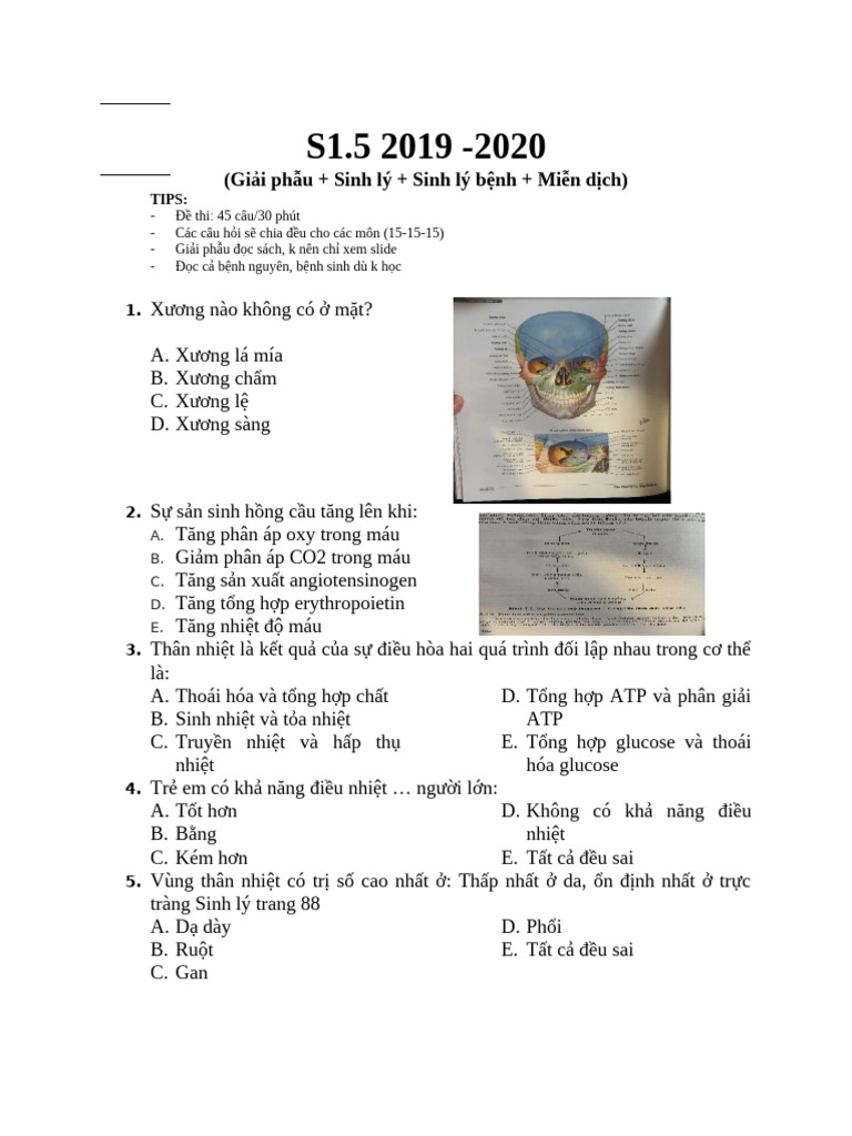 (Giải phẫu + Sinh lý + Sinh lý bệnh + Miễn dịch) : Tips | PDF