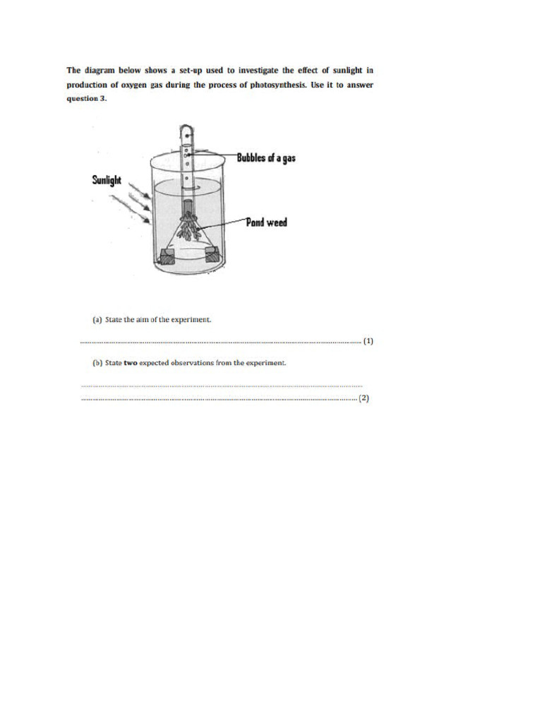 Form 3 Science Pdf