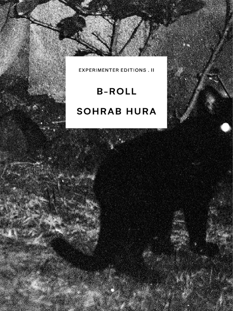 2023 Sohrab Hura _ B-Roll _ Booklet II_Final | PDF