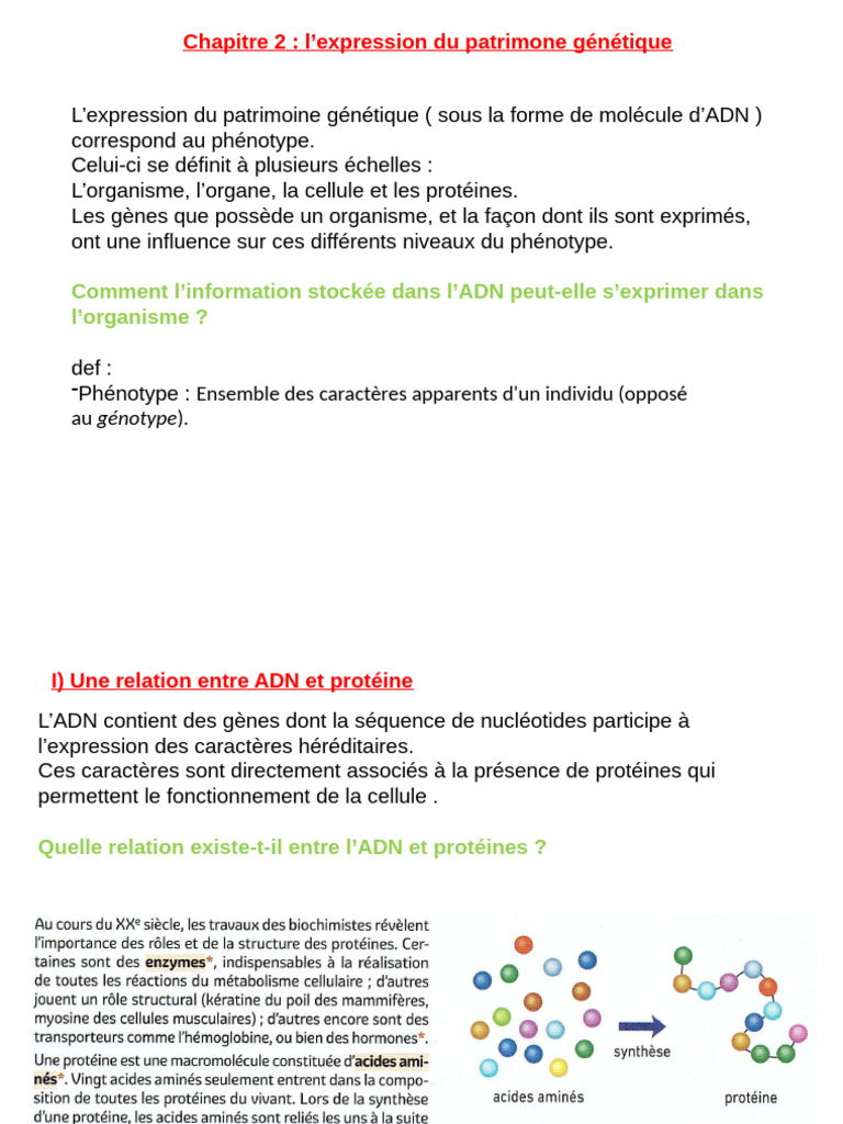 l Expression Des Genes | PDF | Acide ribonucléique messager | Code génétique